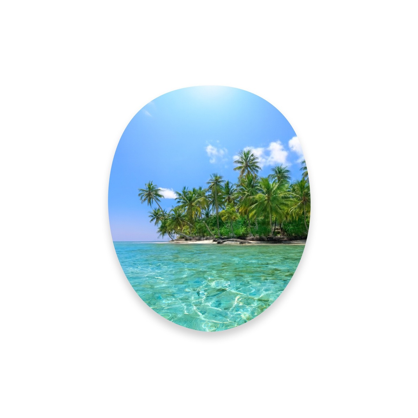 Le Sticker Caraïbes Papado® - Résistant et durable
